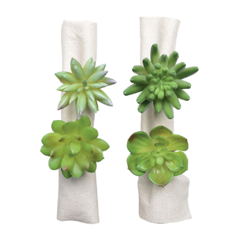 Aulica Set De 4 Ronds De Serviette Design Plantes Grasses